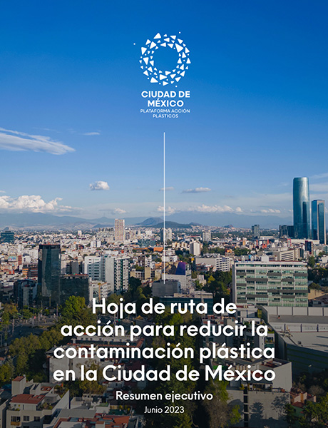 Hoja De Ruta De Acción Para Reducir La Contaminación Plástica En La